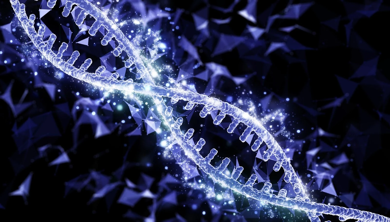 The role of DNA encoded library companies in expanding chemical ...
